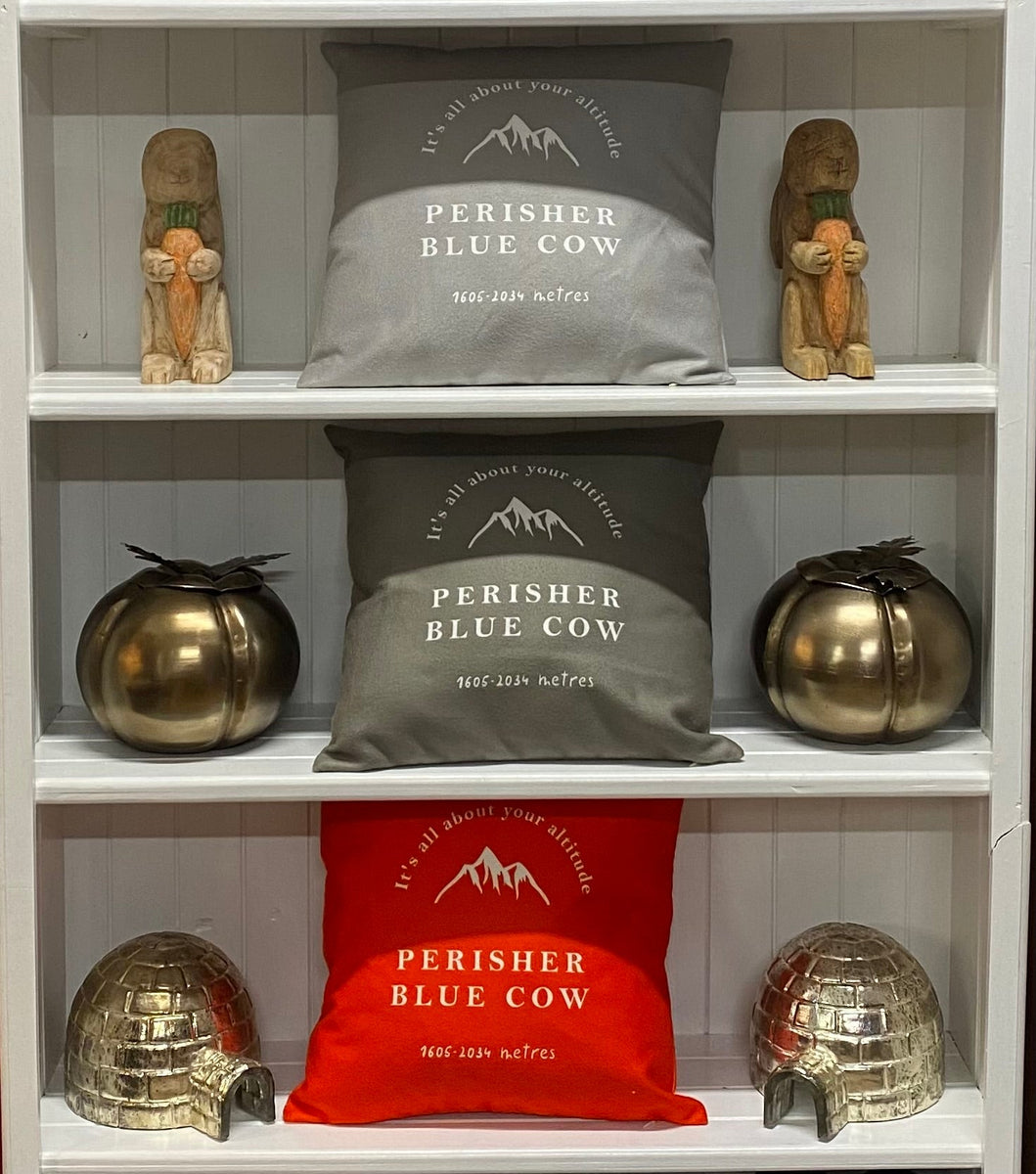 Perisher Blue Cow Cushion – I Dream of Snow